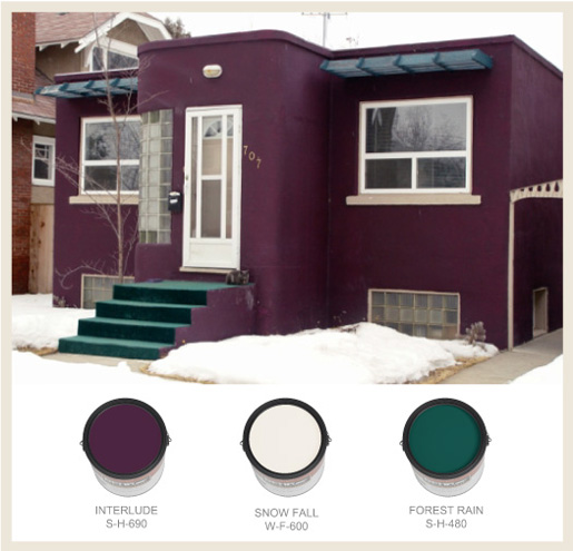 Purple House Cans Border - Colorfully BEHR