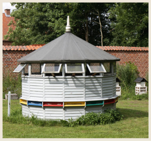 Bee-House-with-Frame - Colorfully BEHR