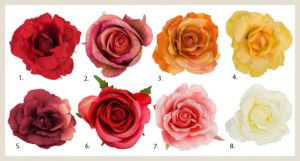 Roses - Colorfully BEHR
