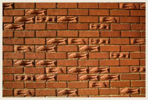 Fish Brick - Colorfully BEHR