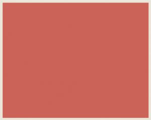 Large chip - Colorfully BEHR