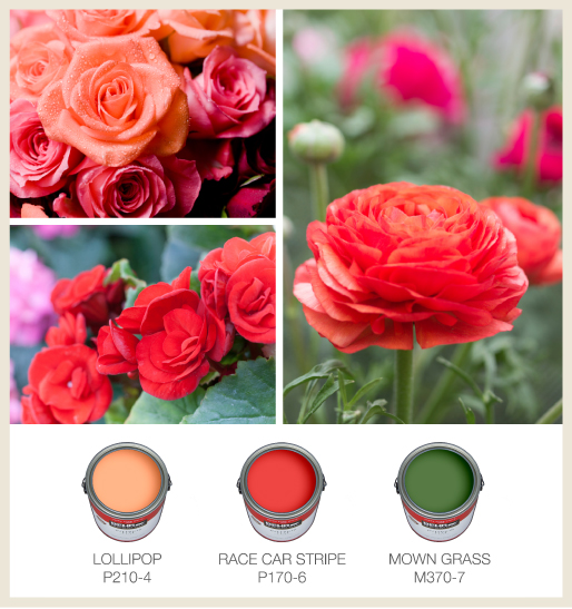 Rose color collage - Colorfully BEHR