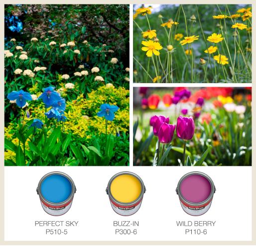 Flower color collage - Colorfully BEHR