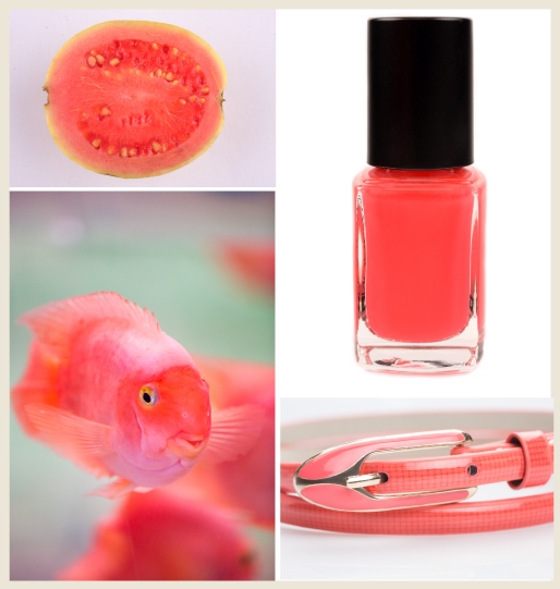 Guava color theme - Colorfully BEHR