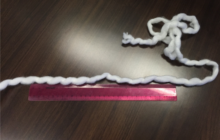 measure-4-foot-lengths - Colorfully BEHR