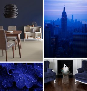 Color of the Month: Bon Nuit | Colorfully BEHR