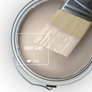 Color of the Month: Adobe Sand | Colorfully BEHR