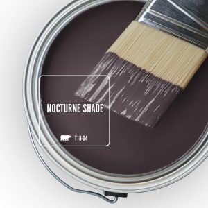 Nocturne Shade | Colorfully BEHR