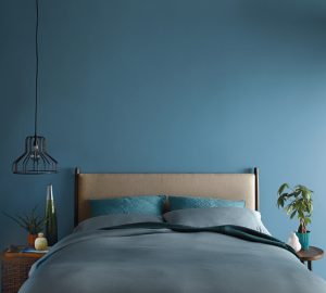Color of the Year 2019: The Blueprint for Life Reimagined | Colorfully BEHR
