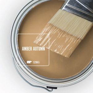 Color of the Month: Amber Autumn | Colorfully BEHR