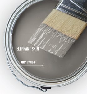Trend Color Spotlight: Elephant Skin | Colorfully BEHR