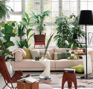 Color of the Month: Spring Grass | Colorfully BEHR