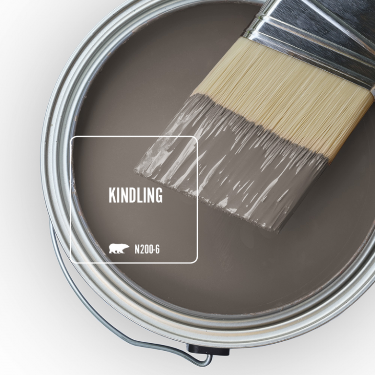 Trend Color Spotlight: Kindling | Colorfully BEHR