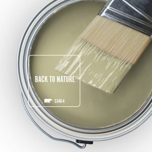 Behr 2020 Color of the Year: Back to Nature | Colorfully BEHR