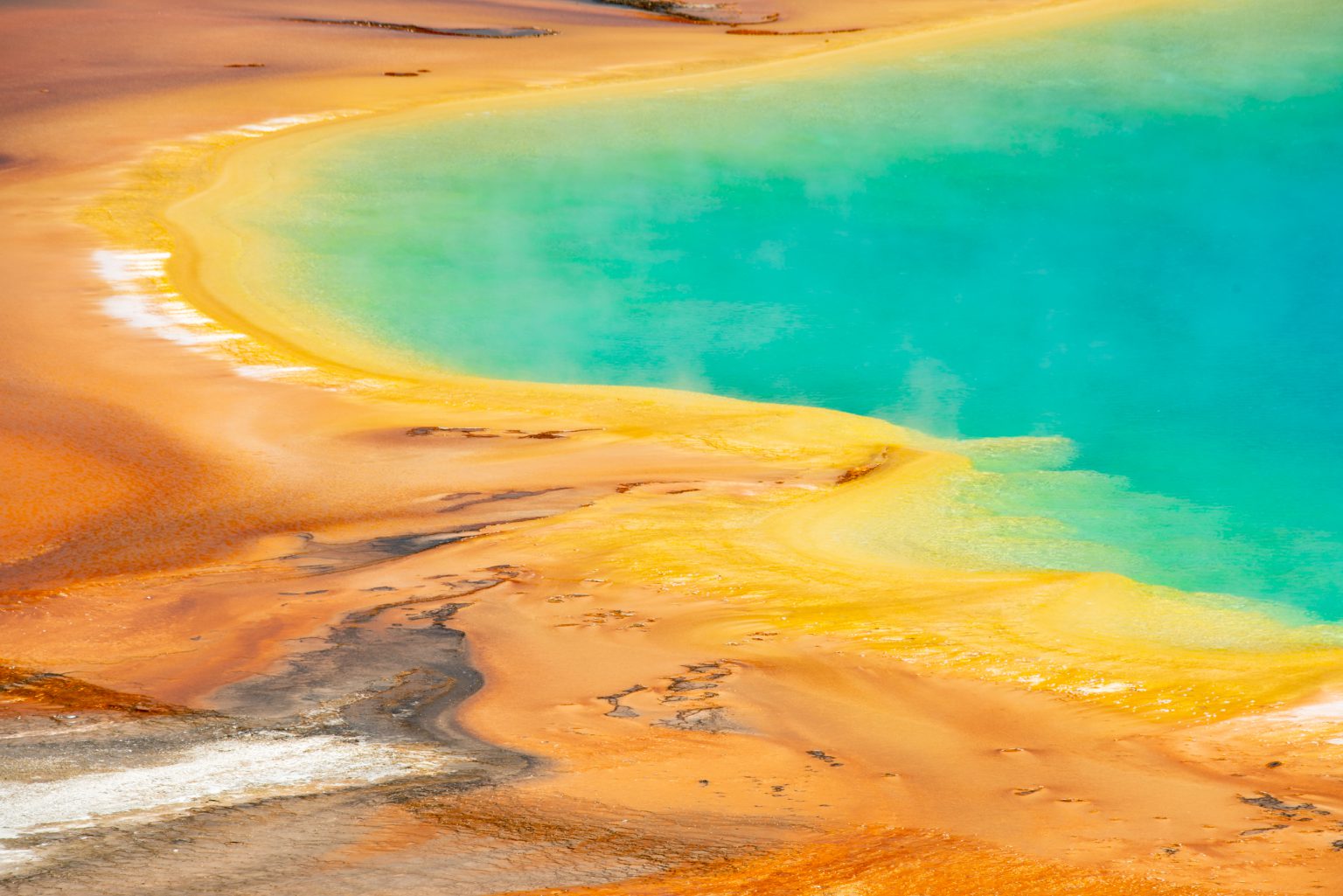 Color Explorer: A Color Quest in Yellowstone | Colorfully BEHR
