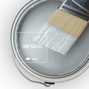 Color of the Month: Light Drizzle | Colorfully BEHR
