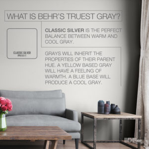 FAQ: What is Behr's Truest Gray | Colorfully BEHR