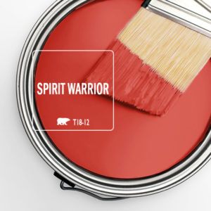 Trend Color Spotlight: Spirit Warrior | Colorfully BEHR