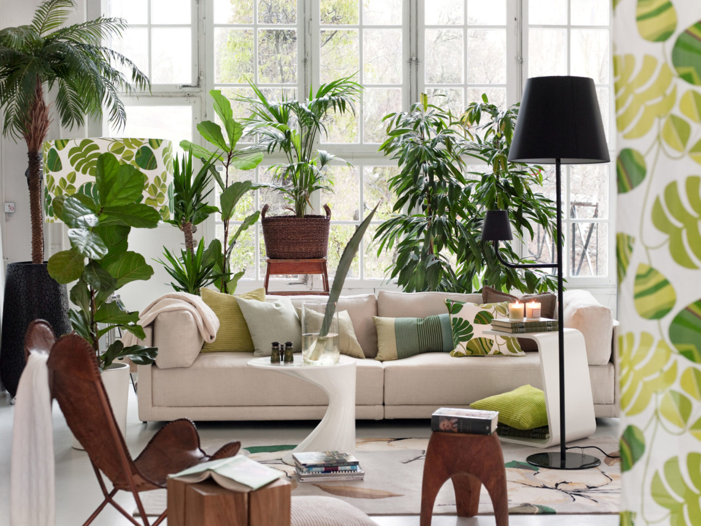 An Oasis of Indoor Plants - Colorfully BEHR