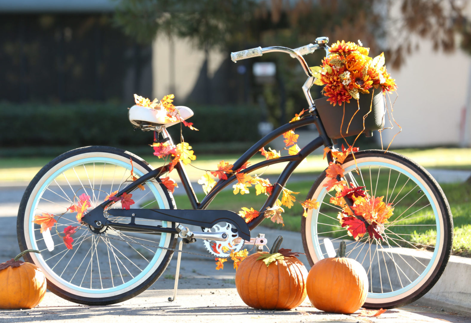 20_DecoratedBike - Colorfully BEHR