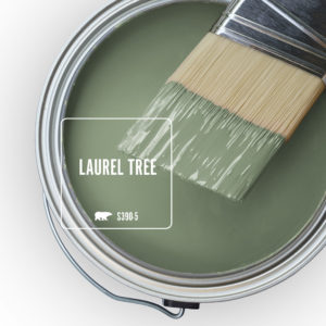 Laurel Tree - March Color of the Month | Colorfully BEHR