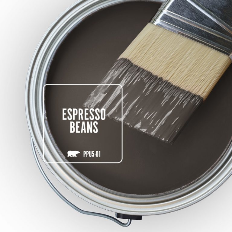 Exterior Paint Inspo with Behr Espresso Bean | Colorfully BEHR