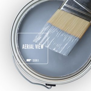 Elevating Interior Spaces with Aerial View - Colorfully BEHR